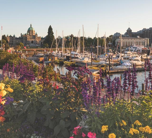 Greater Victoria Destination Plan | Destination Greater Victoria