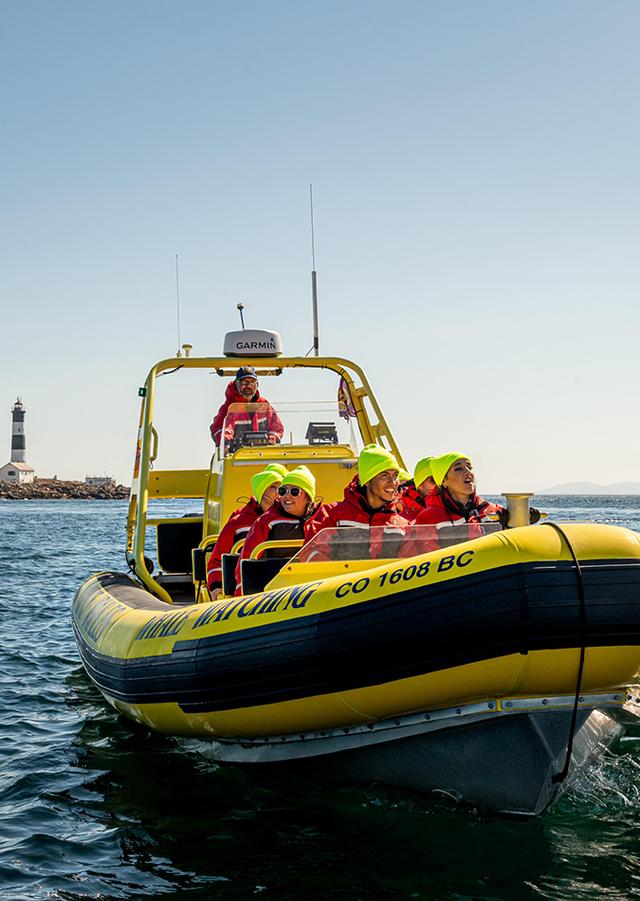 Destination Greater Victoria | Corporate Resources